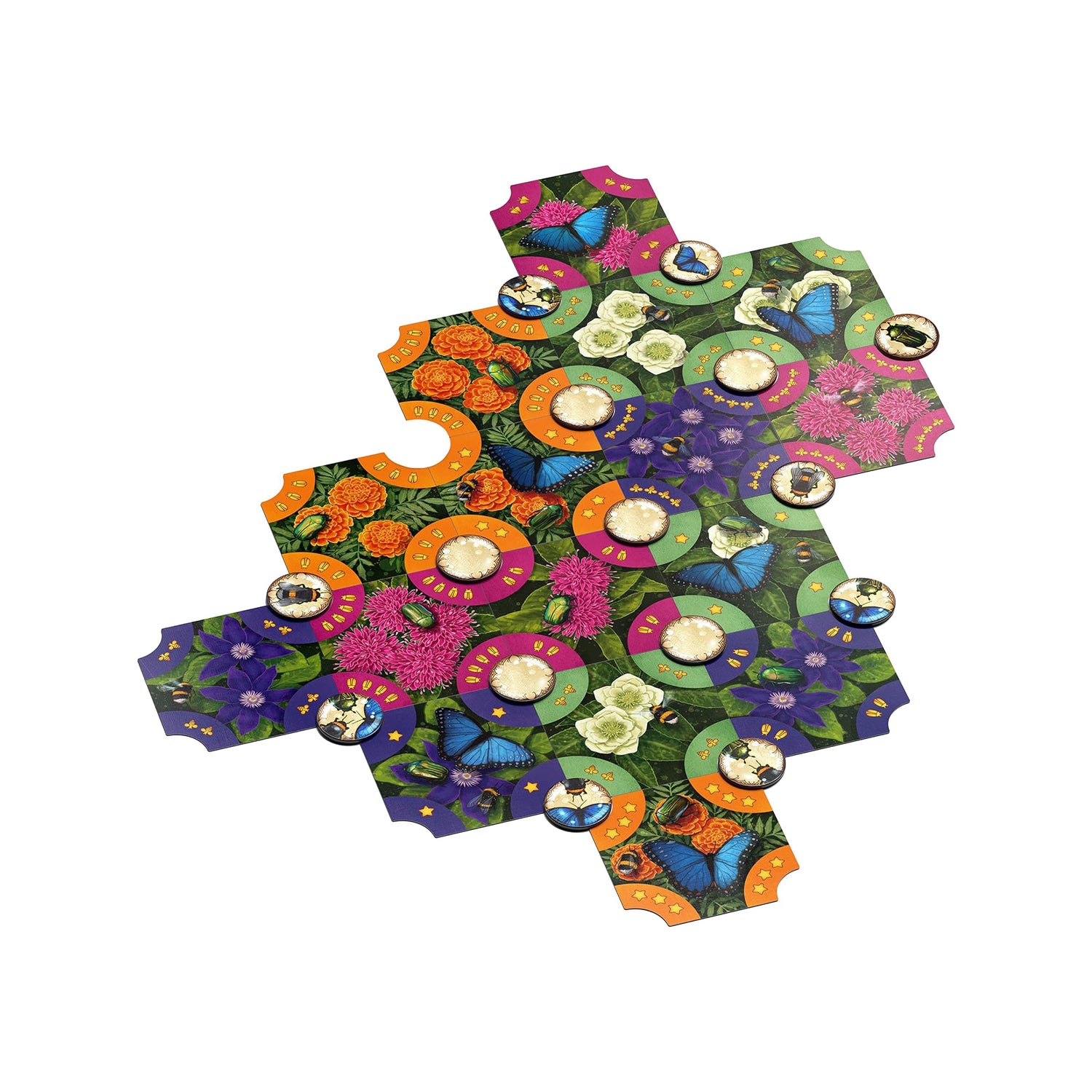 Pollen Board Game – Asmodee North America