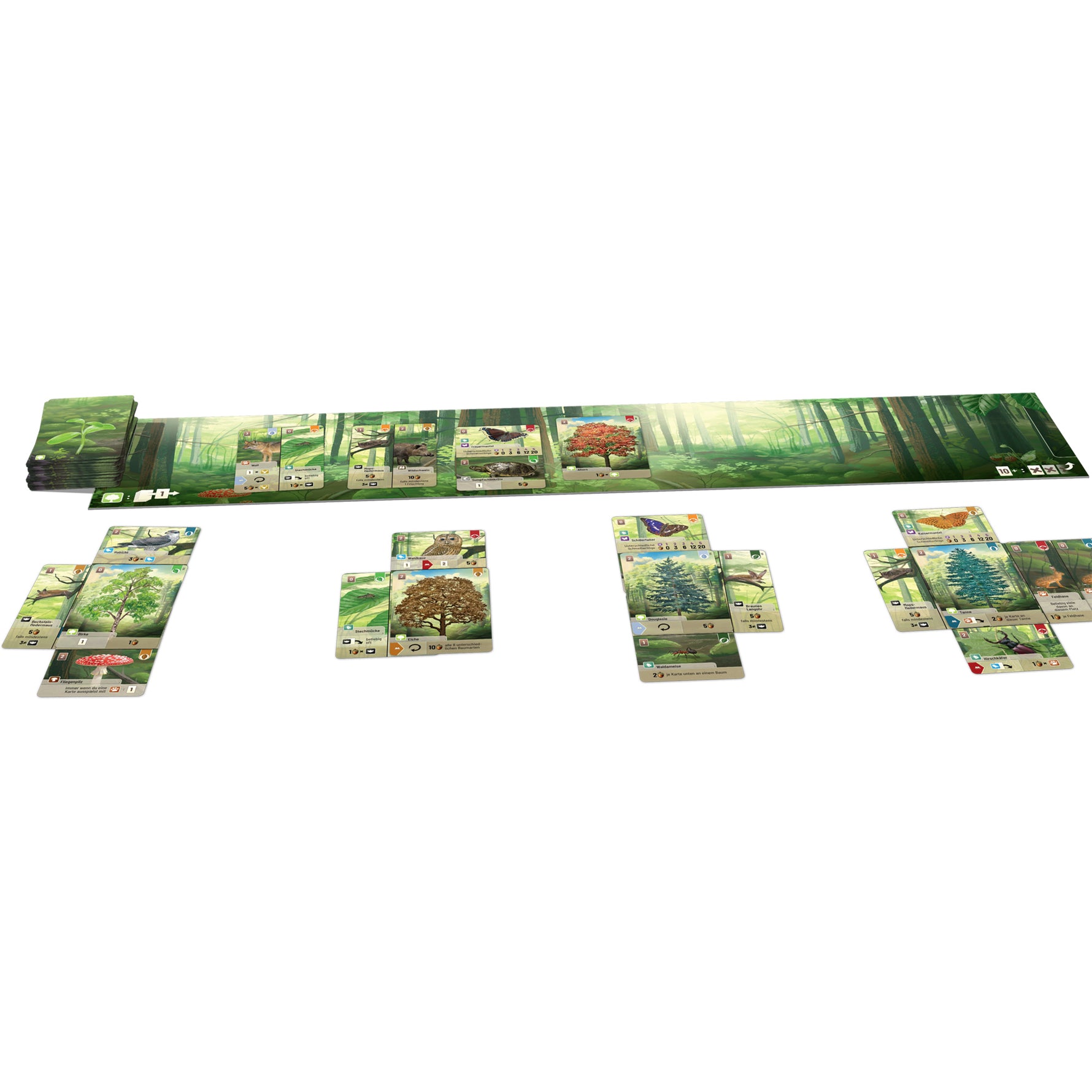 Forest Shuffle Card Game – Asmodee North America