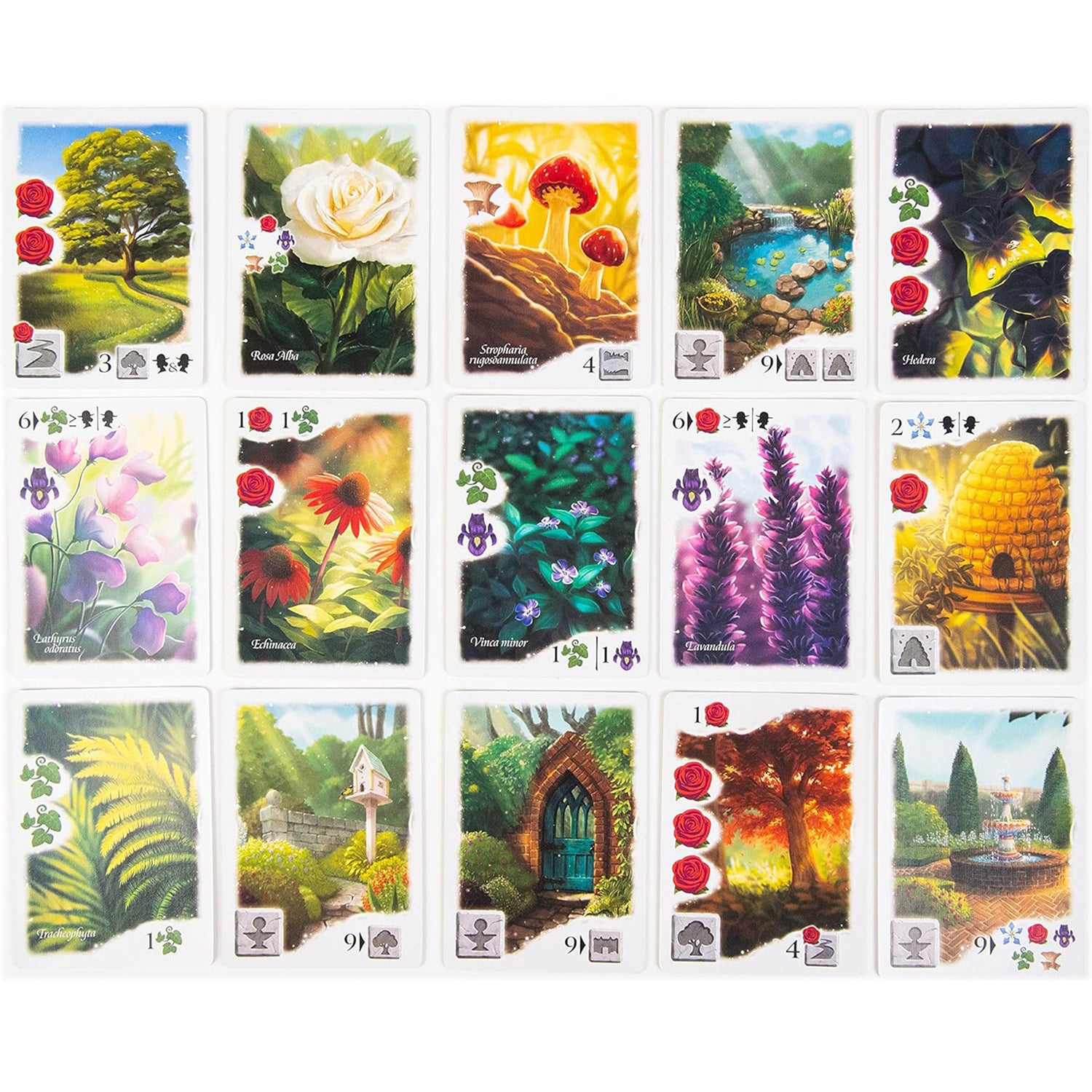 Flourish Signature Edition Board Game – Asmodee USA